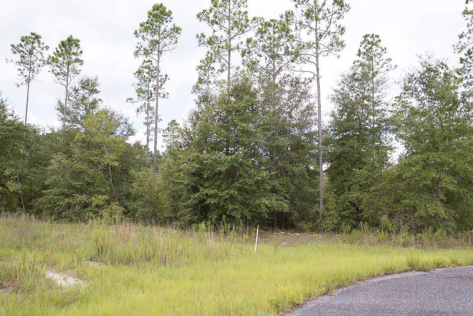 0 213th Rd, Live Oak, FL 32060 | Zillow