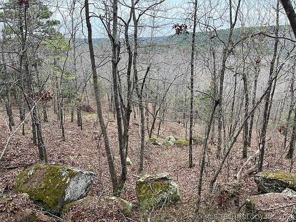 Rural Route Rd, Panola, OK 74559 | MLS #2411004 | Zillow