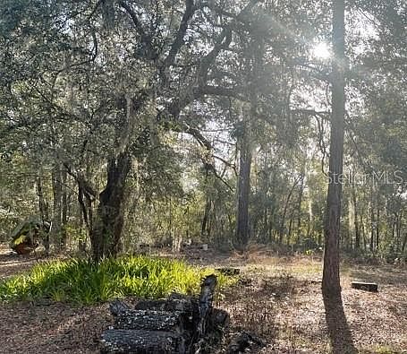 7761 Cypress St, Keystone Heights, FL 32656 | Zillow