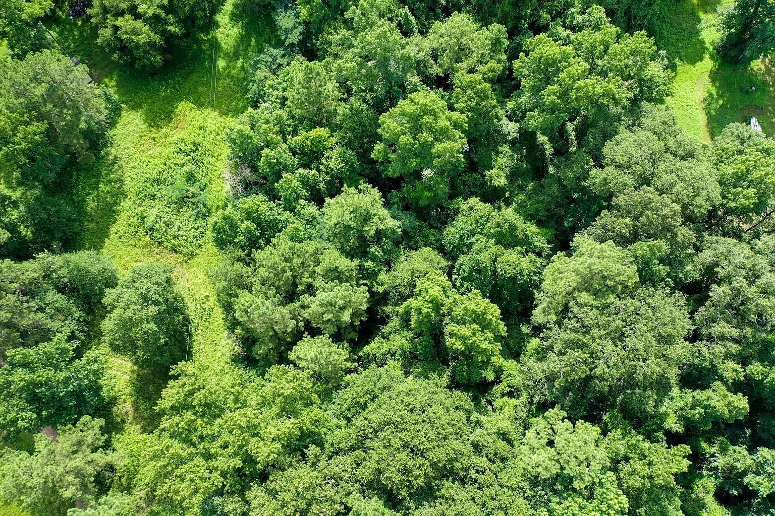 Beeson Rd, Conroe, TX 77306 | MLS #66208681 | Zillow