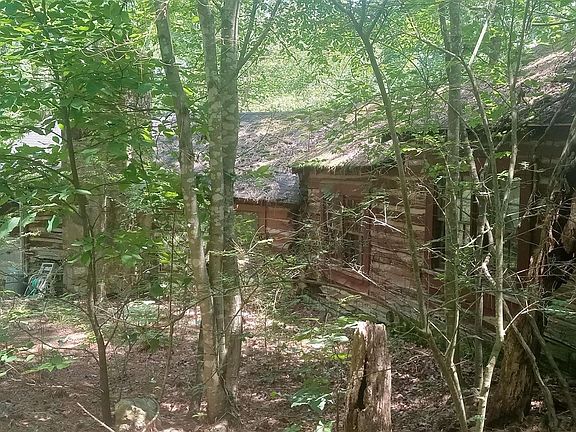 6295 Dunbar Rd, Hamlin, KY 42076 | MLS #124078 | Zillow