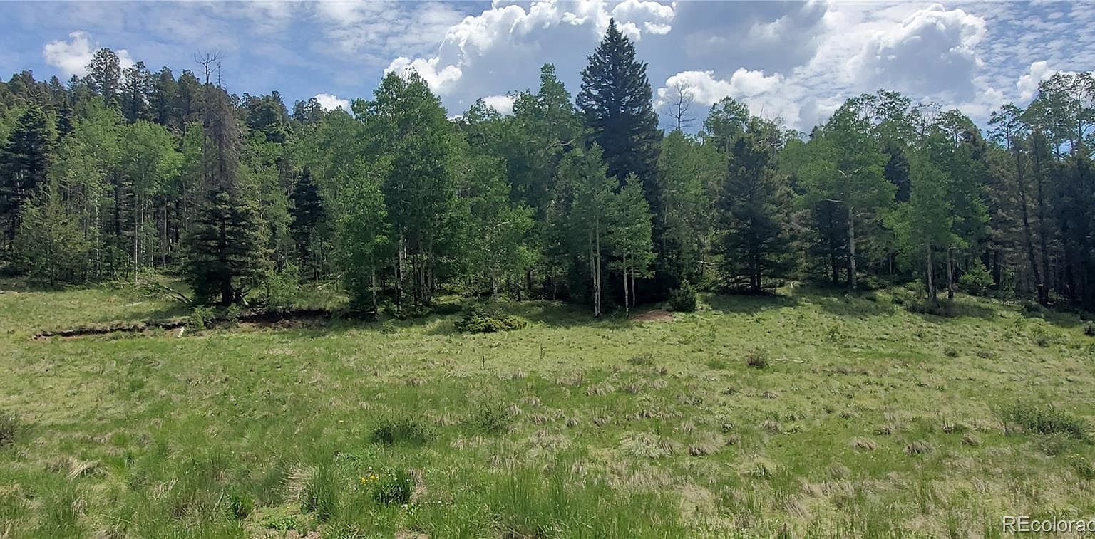 5583 Veevers Road LOT 5583, Fort Garland, CO 81133 | Zillow