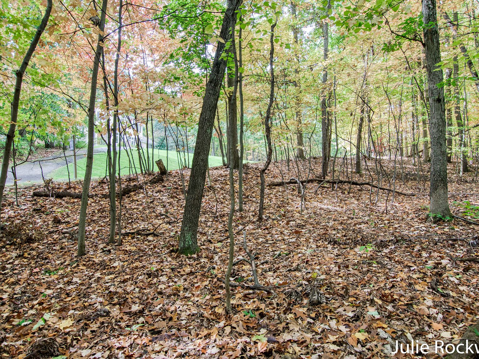 4611 Old Grand River Trl NE, Ada, MI 49301 | Zillow