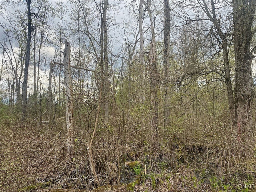 Seifert Rd #20, Rome, NY 13440 | MLS #S1603273 | Zillow