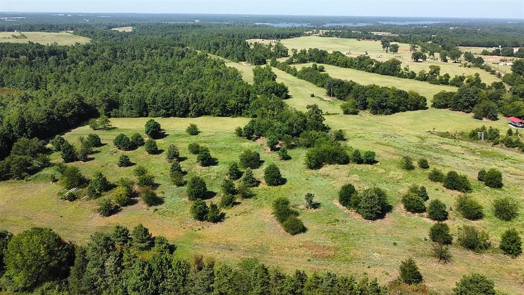County Road 1641, Long Branch, TX 75669 | Zillow