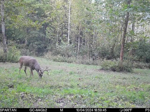 County Road 230 N, Ridge Farm, IL 61870 | MLS #105578 | Zillow