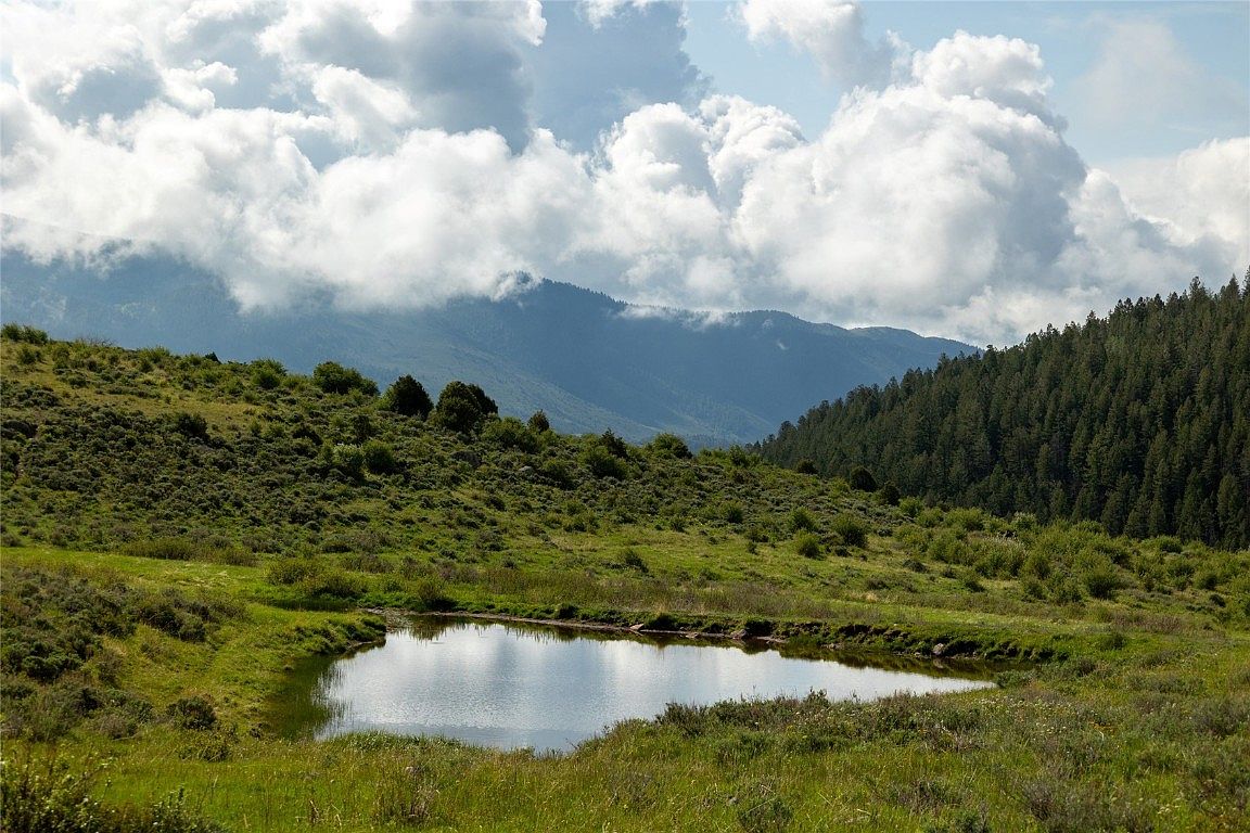 8034 State Highway 131, Toponas, CO 80479 | MLS #S1060099 | Zillow