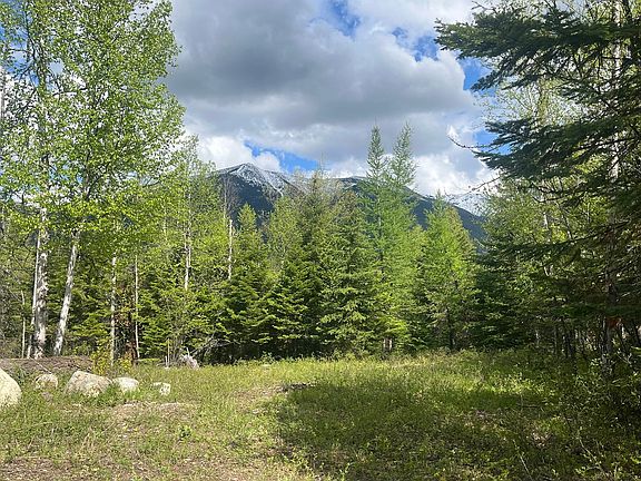 14156 Orvis Evans Dr, Bigfork, MT 59911 | MLS #30005231 | Zillow