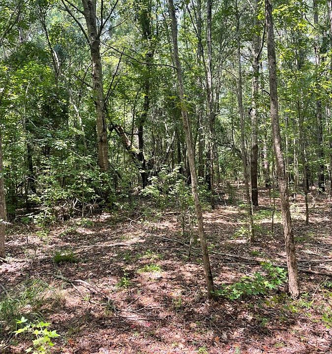 Gillison Branch Rd, Garnett, SC 29922 | Zillow