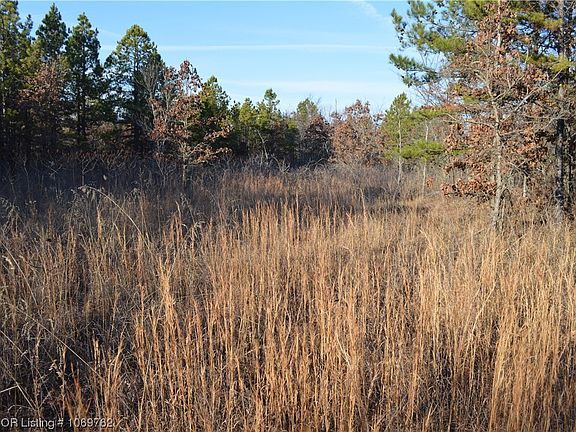 Henry Mountain Forrest Service Rd, Waldron, AR 72958 | MLS #1069762 ...