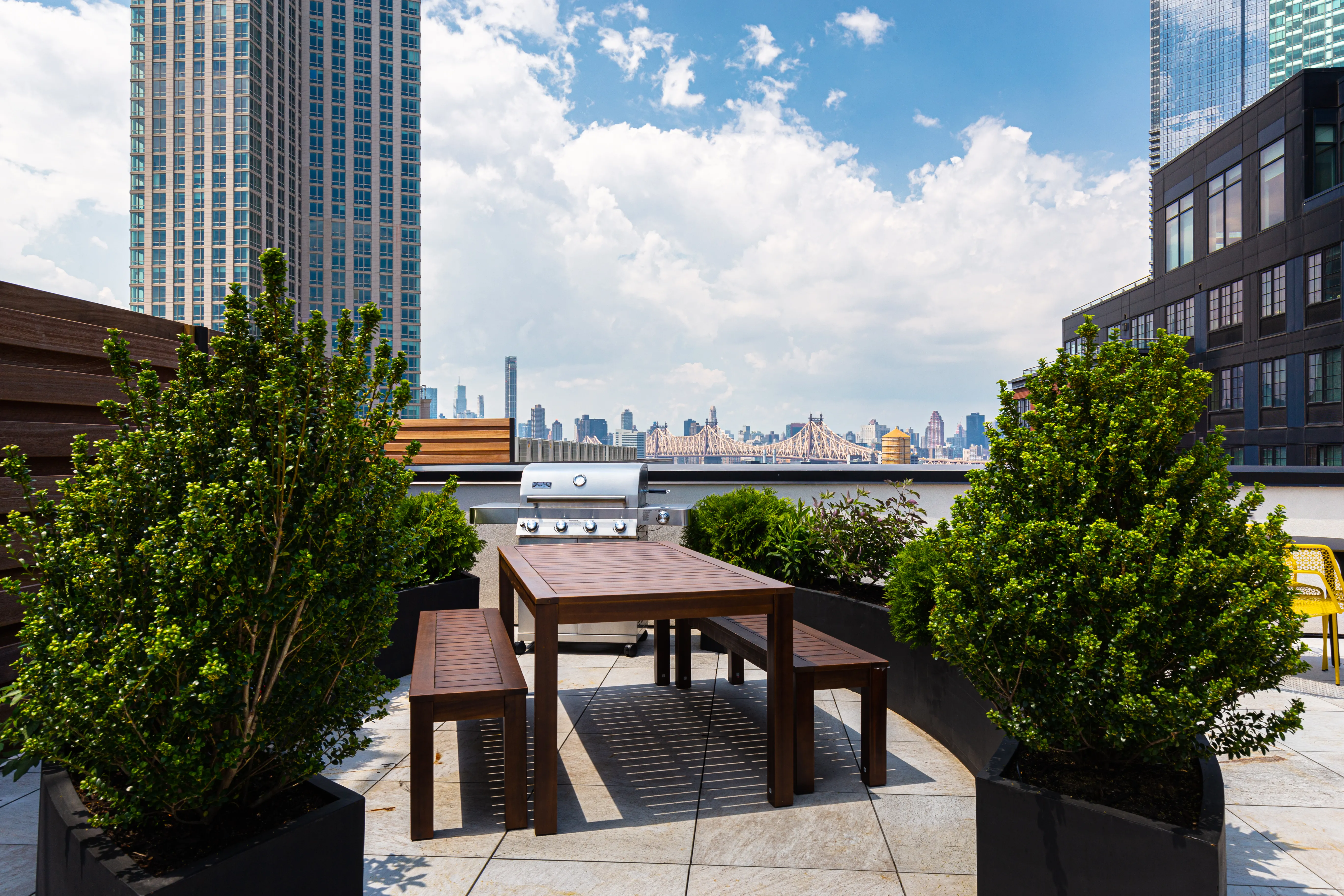 45-57 Davis Street in Hunters Point : Sales, Rentals, Floorplans ...