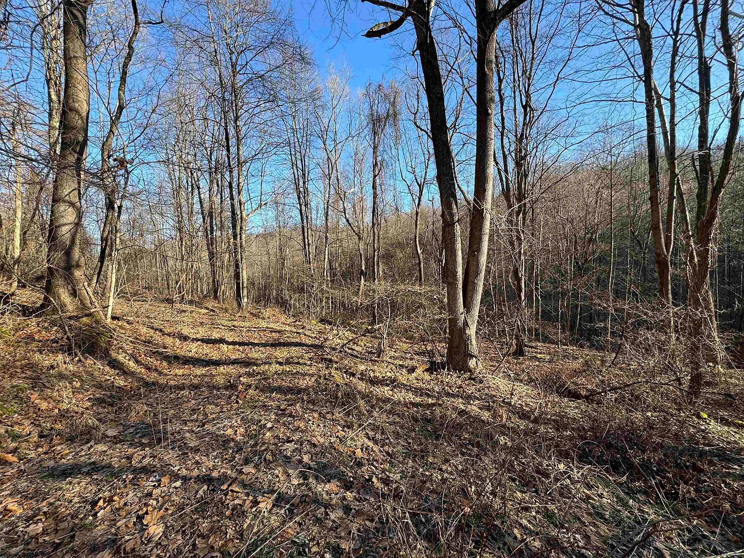 Michael Developement Rd, Morgantown, WV 26508 | Zillow