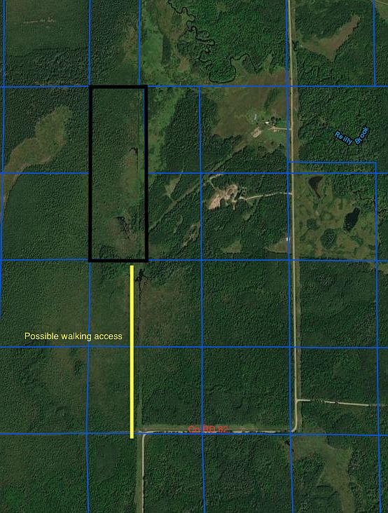 County Road 62 S, Effie, MN 56639 | MLS #6716486 | Zillow