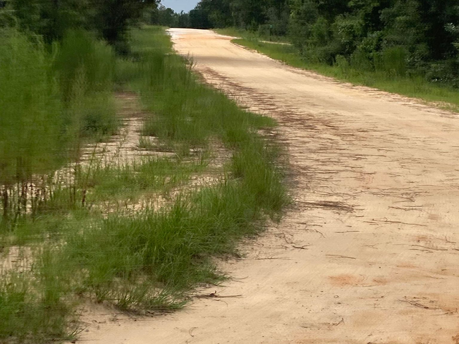 34 Dorcas Rd, Marianna, FL 32448 | MLS #767709 | Zillow