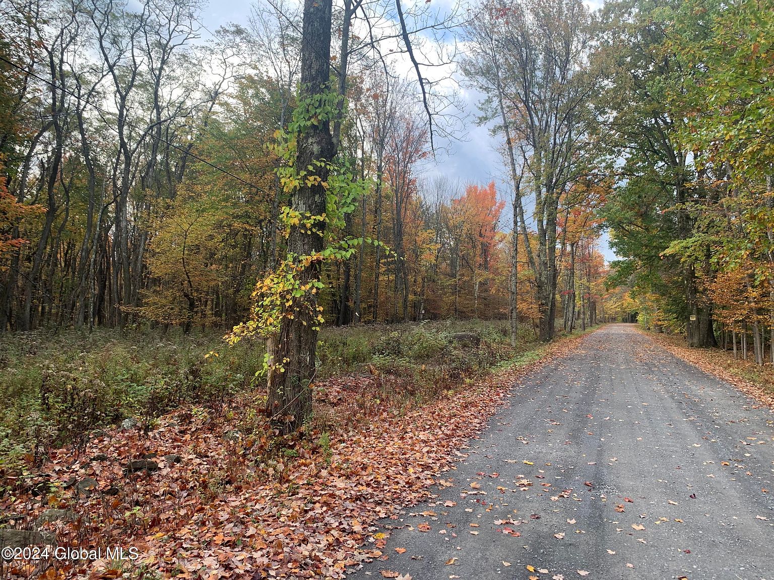 Lot 2 Clickman Road UNIT 12193, Westerlo, NY 12193 | Zillow