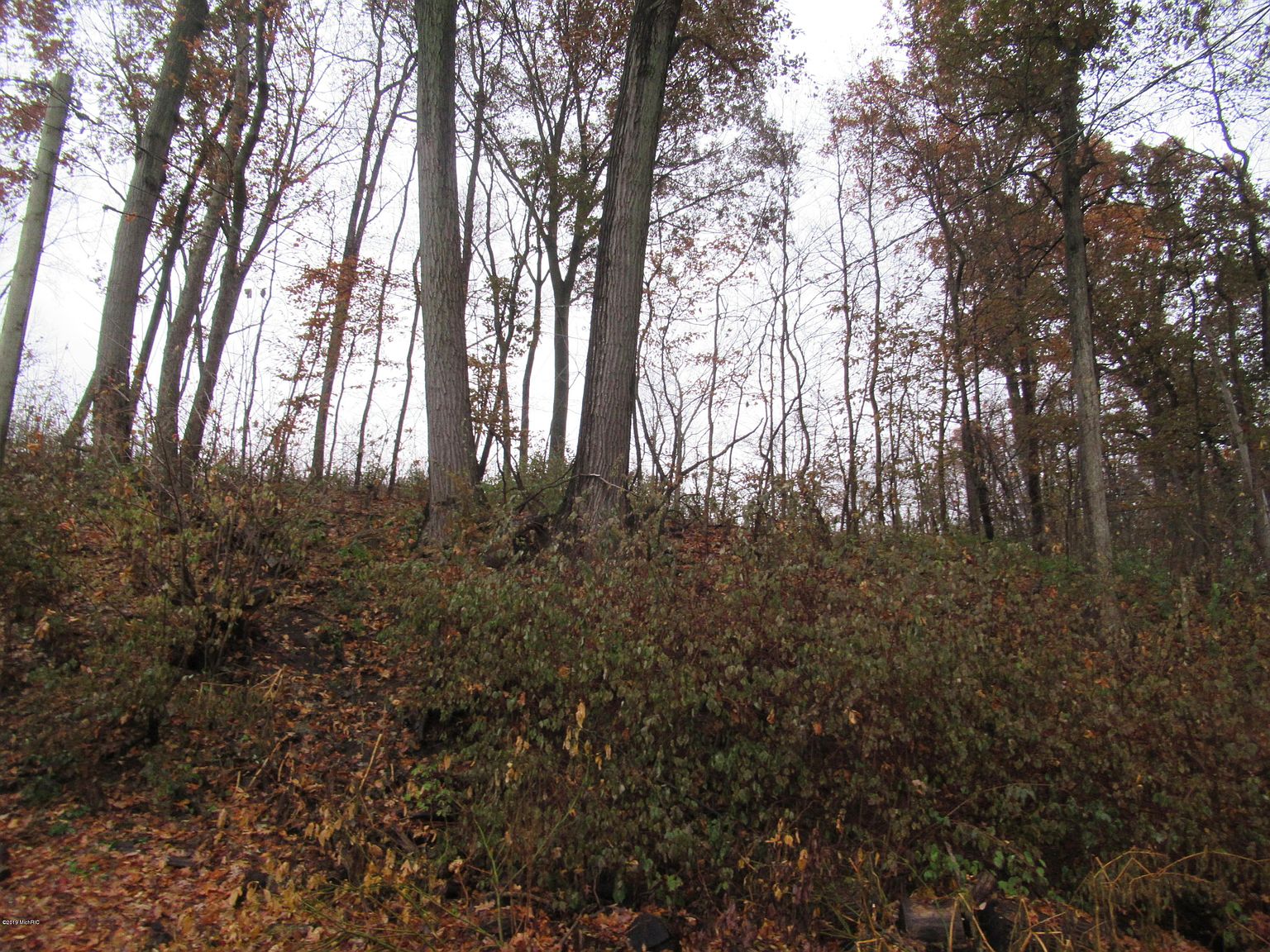 6 Donnell Lake St, Vandalia, MI 49095 | Zillow