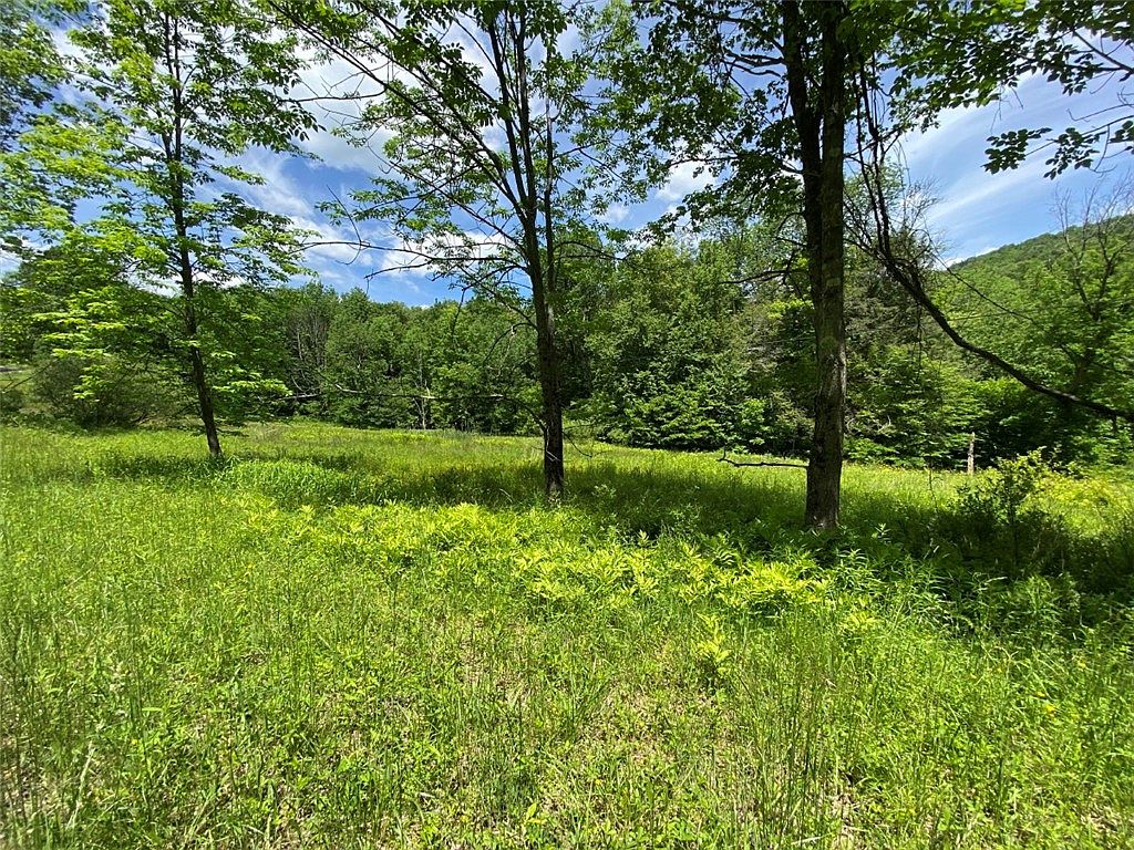 0 Silas Tompkins Rd, Hancock, NY 13783 | Zillow