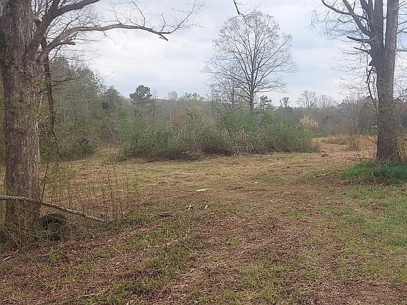 0 Friendship Ln, Delano, TN 37325 | Zillow