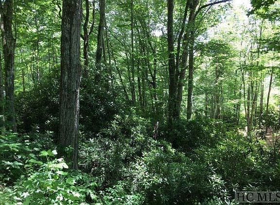 Springhead Trl LOT 59, Cullowhee, NC 28723 | Zillow