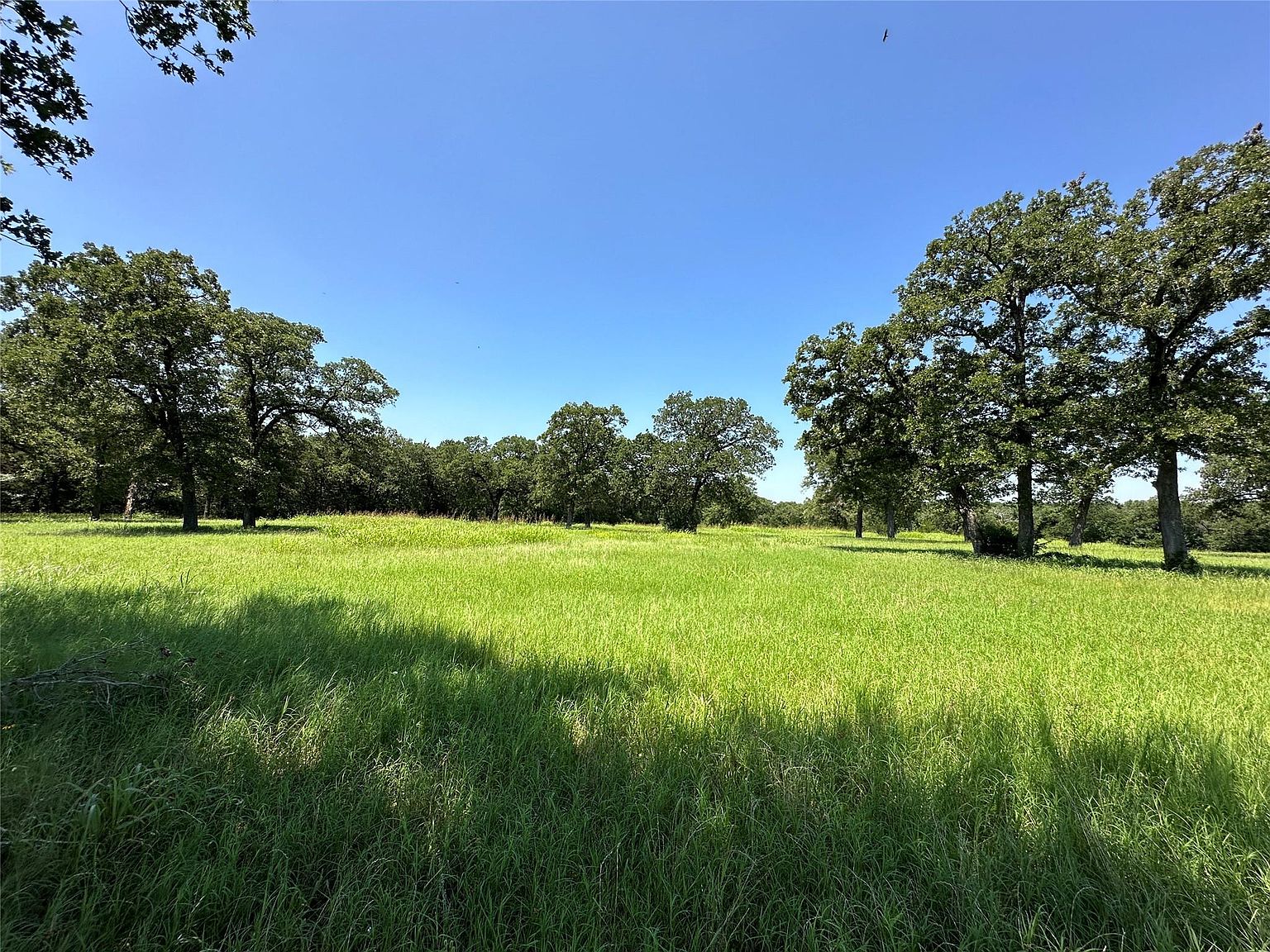1 Tract Dm #2547, Fairfield, TX 75840 | MLS #20561881 | Zillow