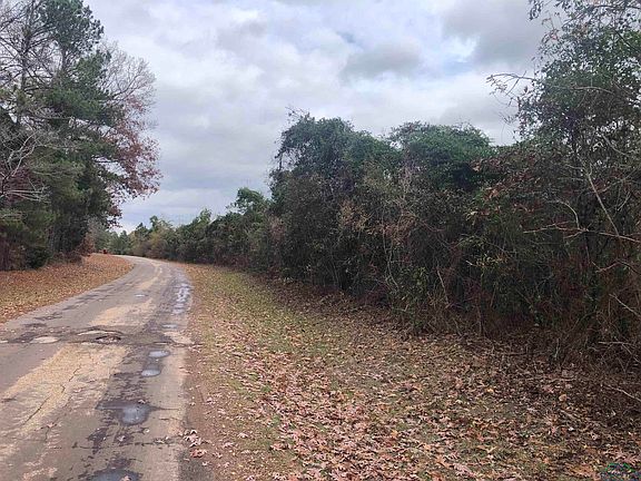 County Road 3663, Queen City, TX 75572 | MLS #20227407 | Zillow