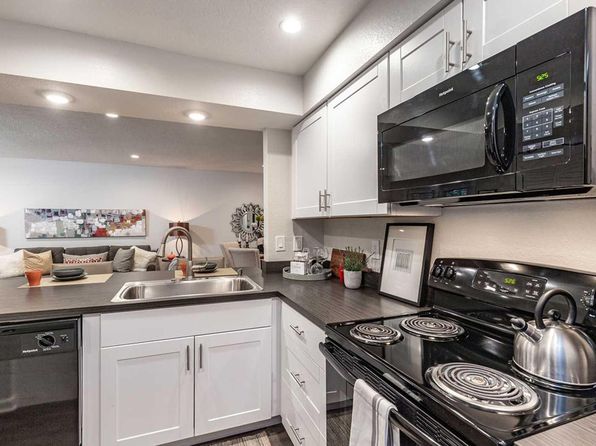 Apartments For Rent in University of South Florida Tampa | Zillow