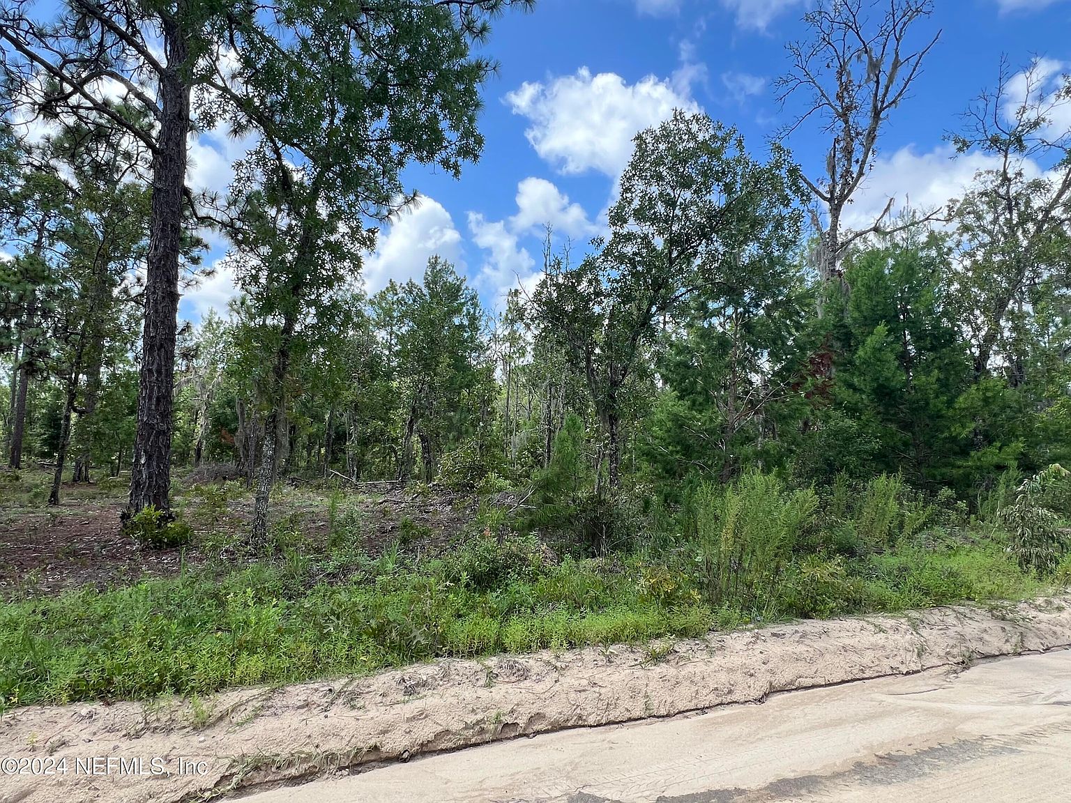 211 COLOGNE Street, Interlachen, FL 32148 | MLS #2039618 | Zillow