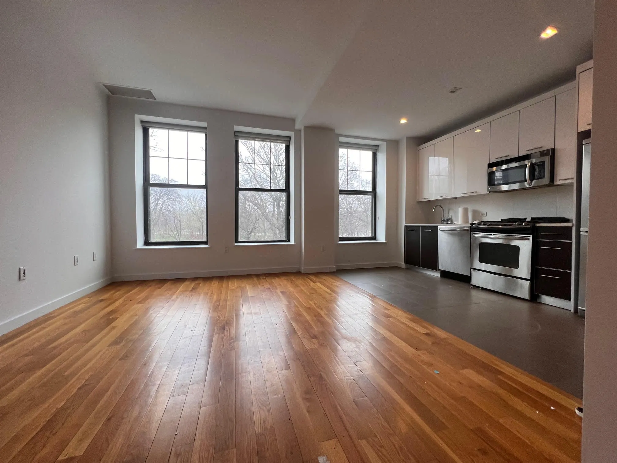 123 Parkside Avenue #4Q in Prospect Park South, Brooklyn | StreetEasy