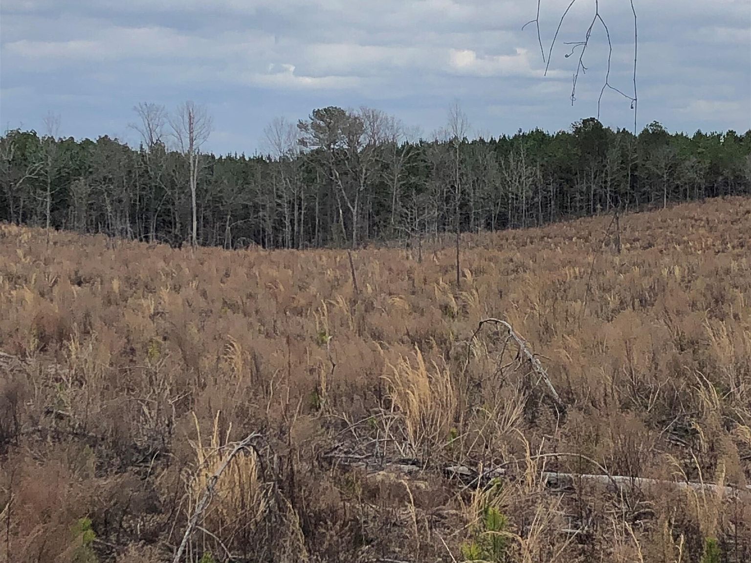 0 S Doc Crook Rd, Reynolds, GA 31076 | MLS #20148693 | Zillow