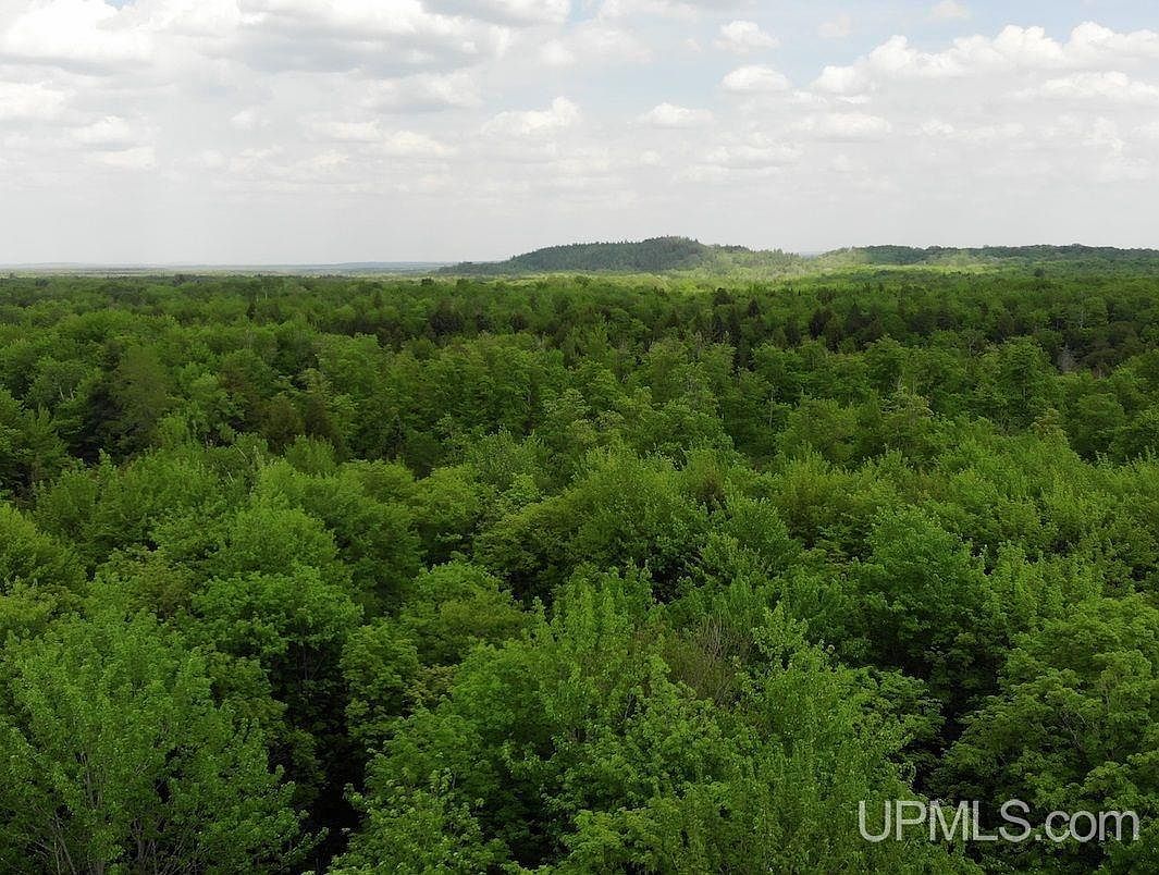 LOT 23 65 #&-66, Nisula, MI 49952 | Zillow