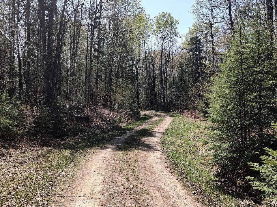 147 Purple Rd, Nisula, MI 49952 | MLS #50103986 | Zillow