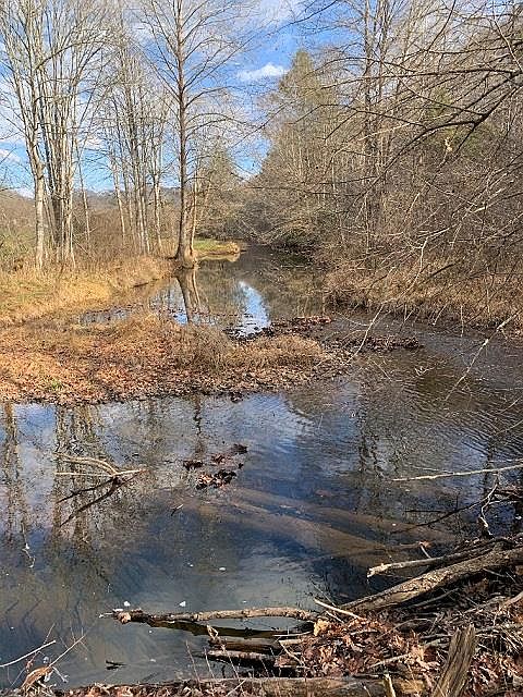 Tbd Lick Creek Rd, Ceres, VA 24318 | Zillow