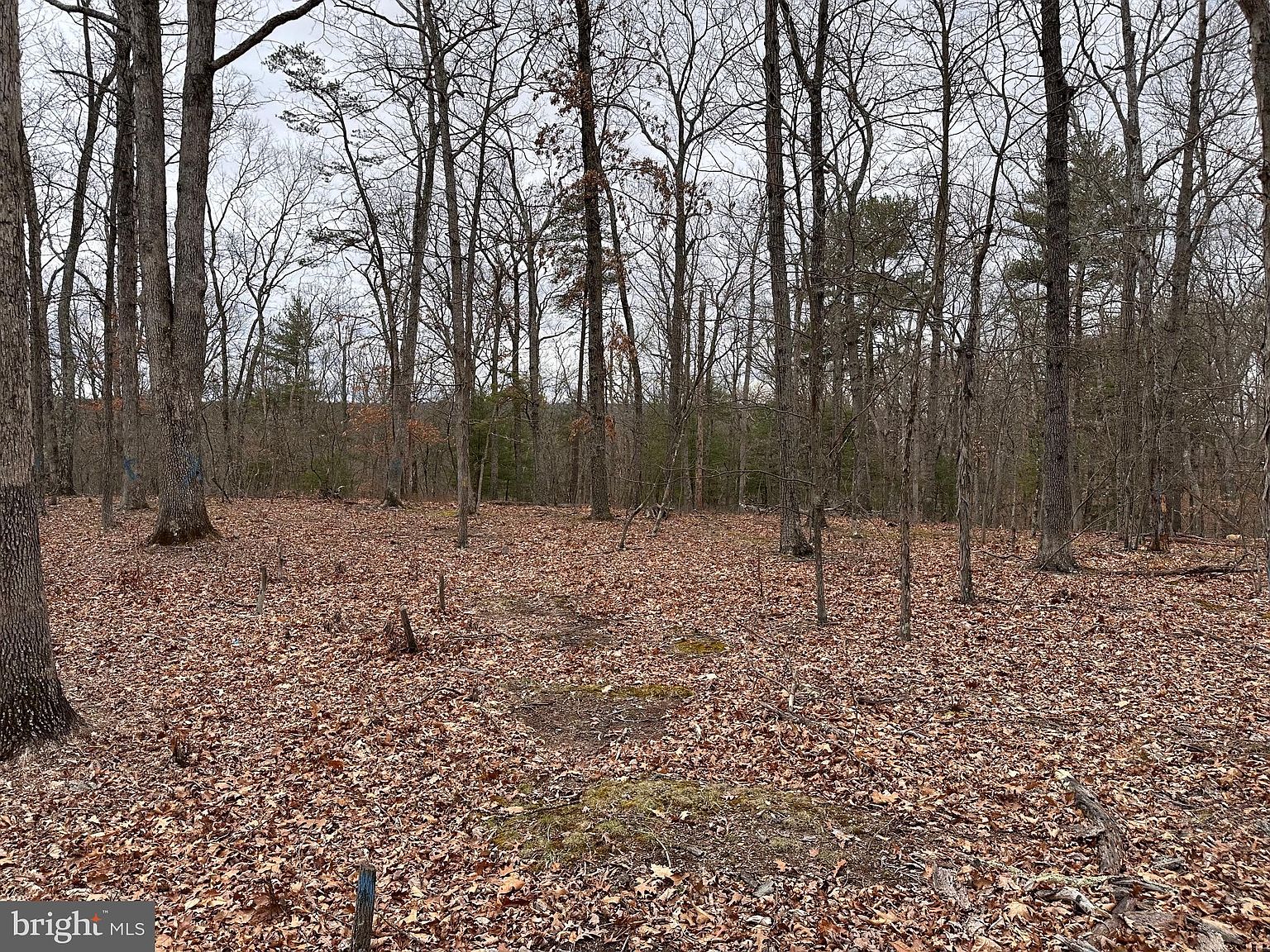 30 Persimmon Tree Ln, Hedgesville, WV 25427 | Zillow
