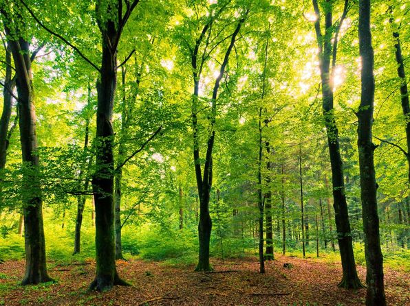 Southampton NY Land & Lots For Sale - 10 Listings | Zillow