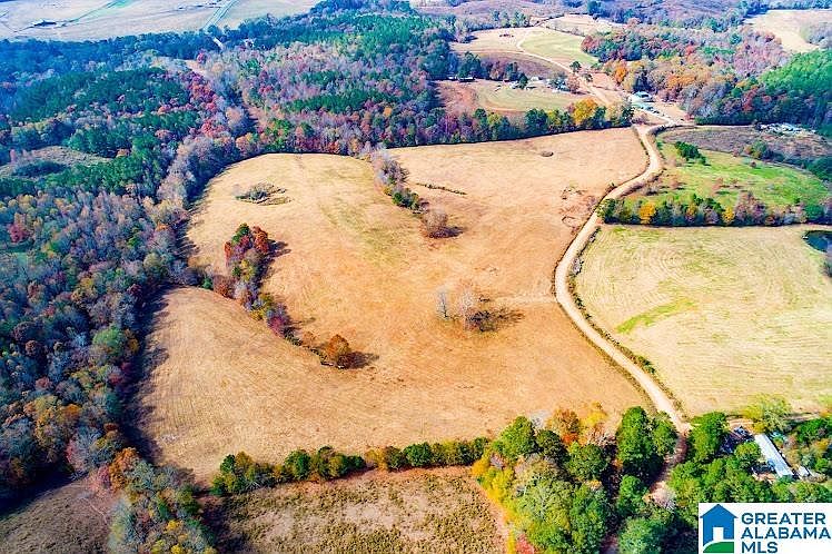 0 County Road 110 #0, Graham, AL 36263 | MLS #21370509 | Zillow