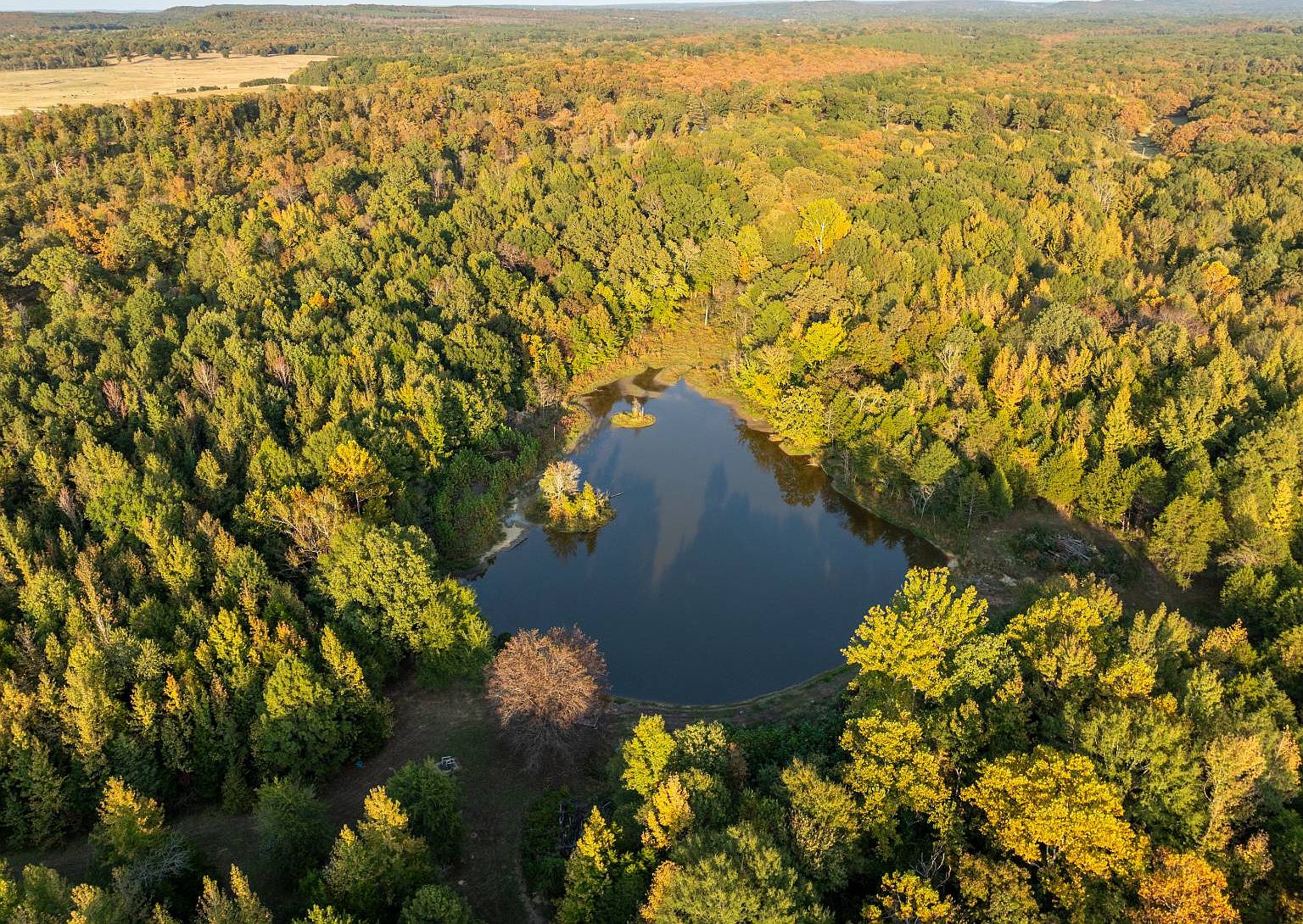 335-1 Creben Hill Rd, Springfield, AR 72157 | MLS #11353393 | Zillow