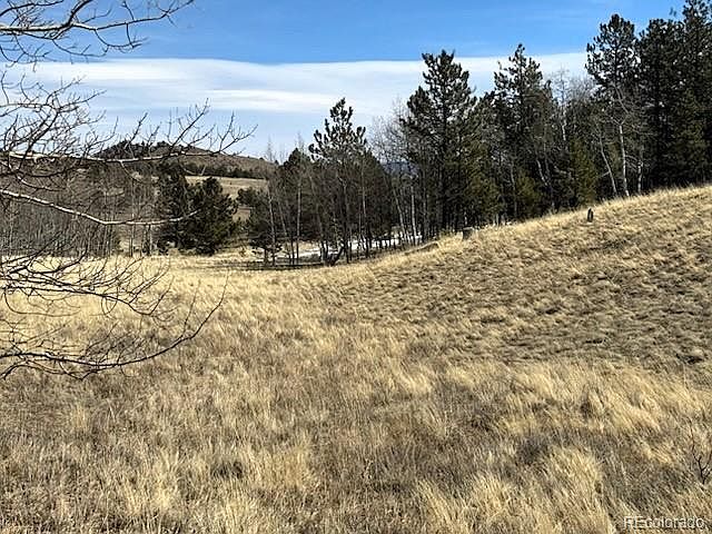 1931 Campfire Road Lot 1490, Hartsel, CO 80449 | MLS #7674025 | Zillow