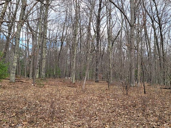 5580 N Syers Dr, Luther, MI 49656 | Zillow