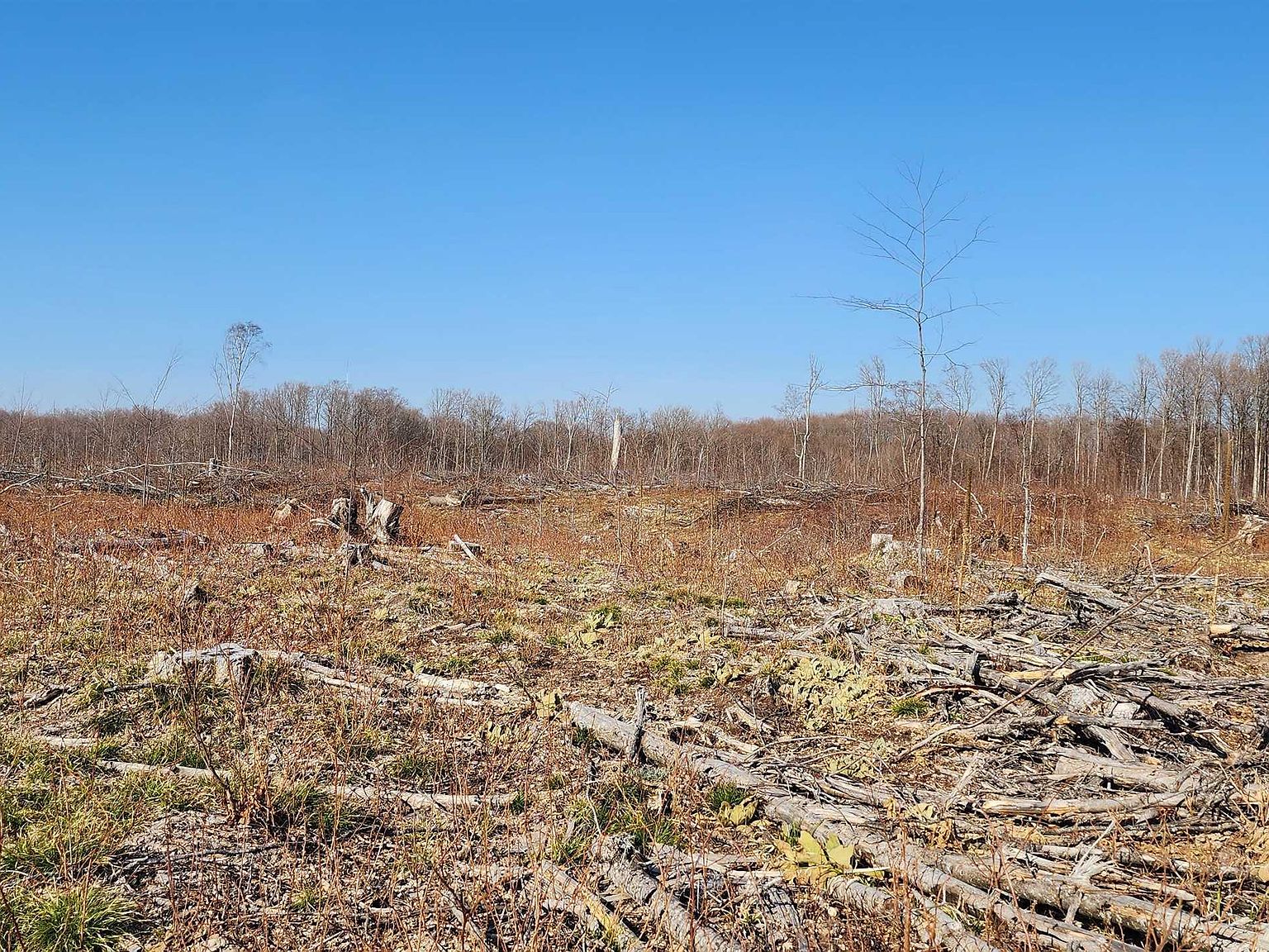 40 Vl Mockingbird Ln, Kalkaska, MI 49646 | MLS #1909893 | Zillow