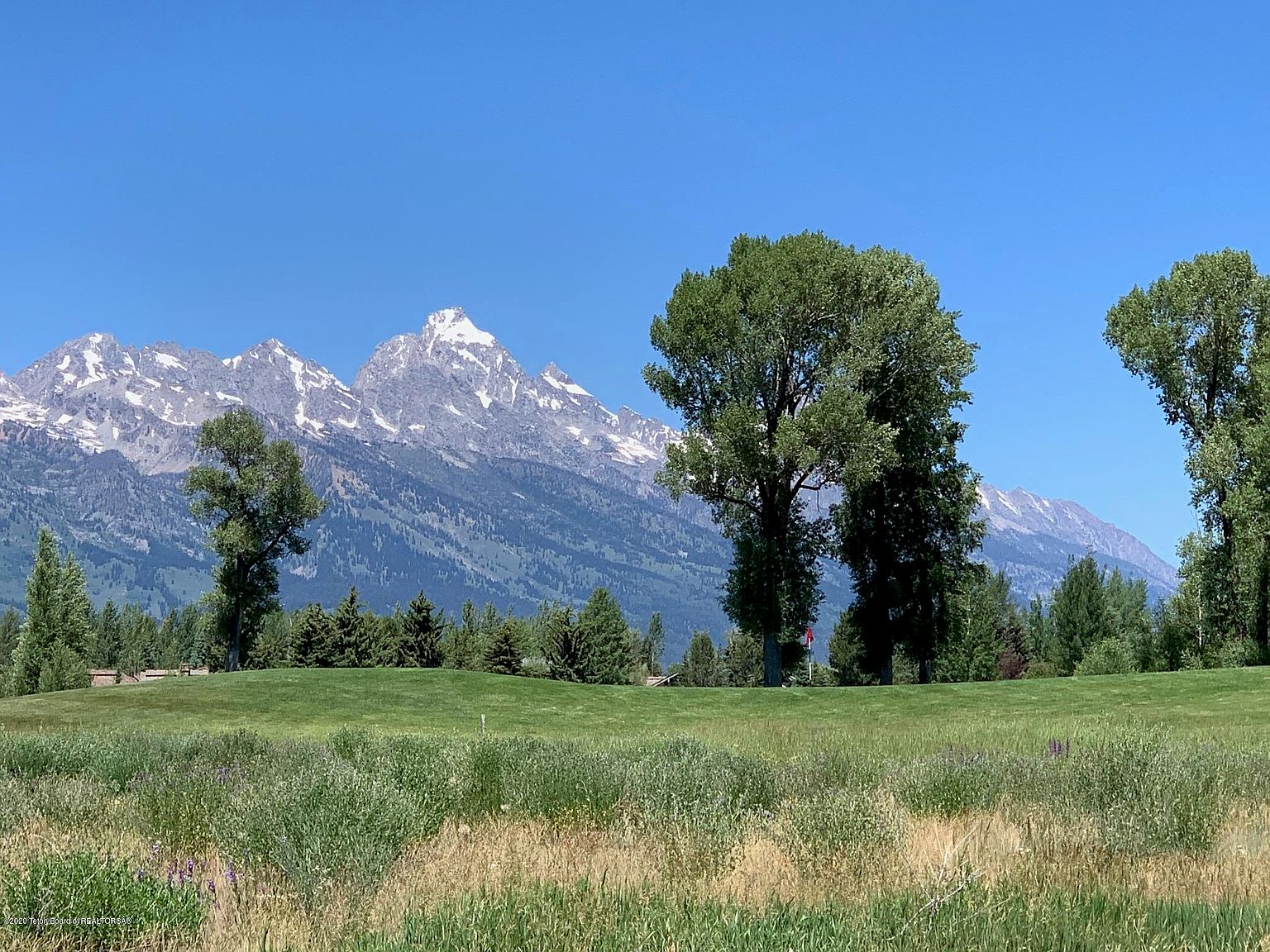 695 E Wild Rye Dr, Jackson, WY 83001 | Zillow