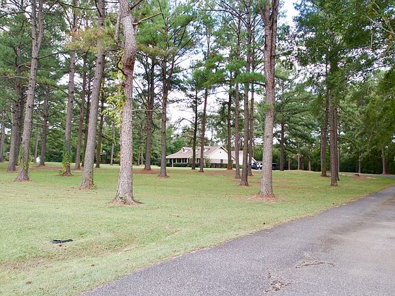 31561 Highway 154, Coffeeville, AL 36524 | MLS #11215497 | Zillow