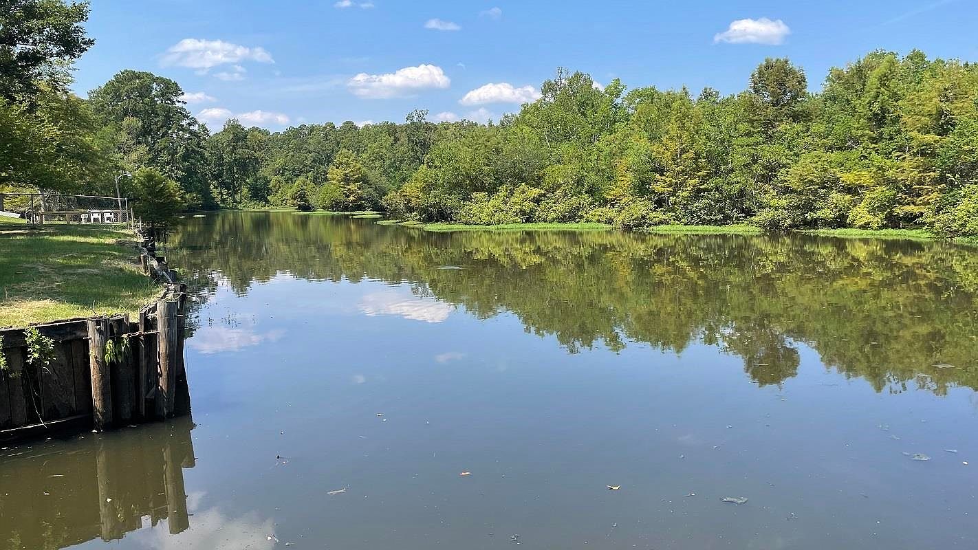 355 Arrowcrest Dr, Hemphill, TX 75948 | MLS #207801 | Zillow