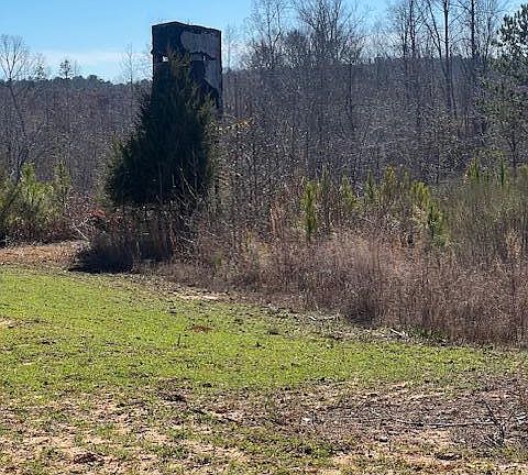 County Road 27, Millport, AL 35576 | MLS #24-481 | Zillow