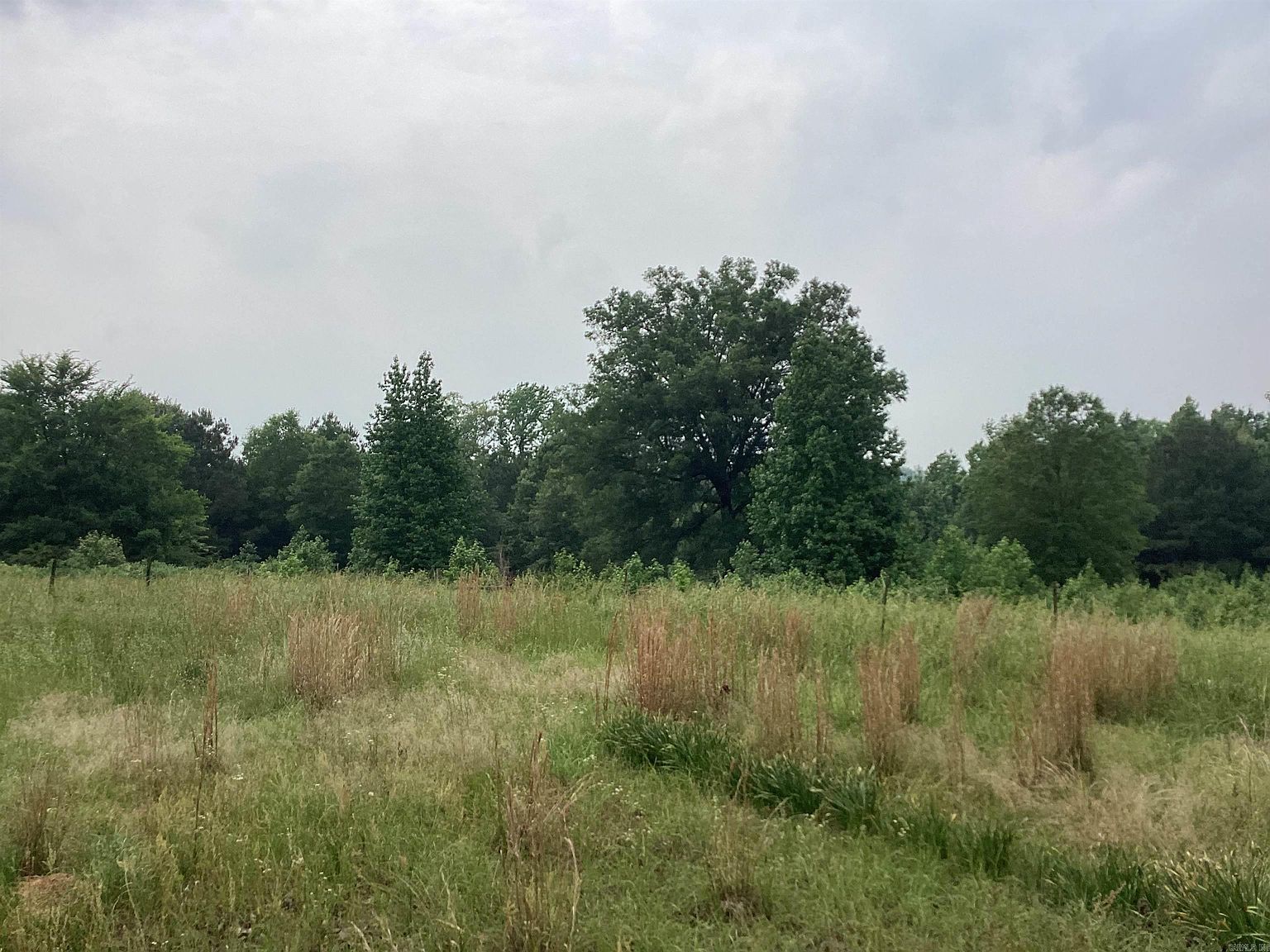 0 Hempstead #24, Blevins, AR 71825 | MLS #25025695 | Zillow