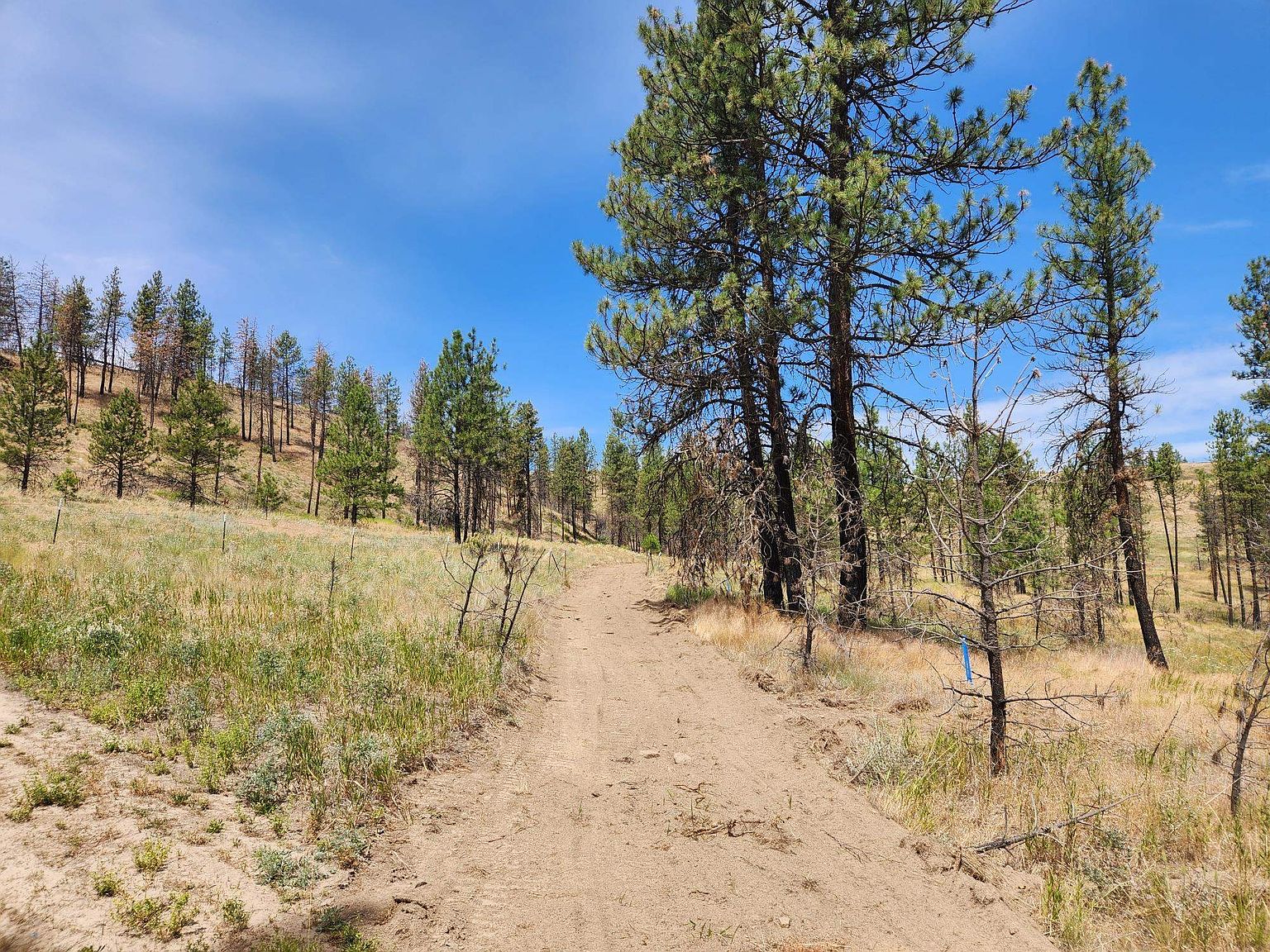 31XYZ Hawk Creek Ranch Rd N, Davenport, WA 99122 | MLS #202412160 | Zillow