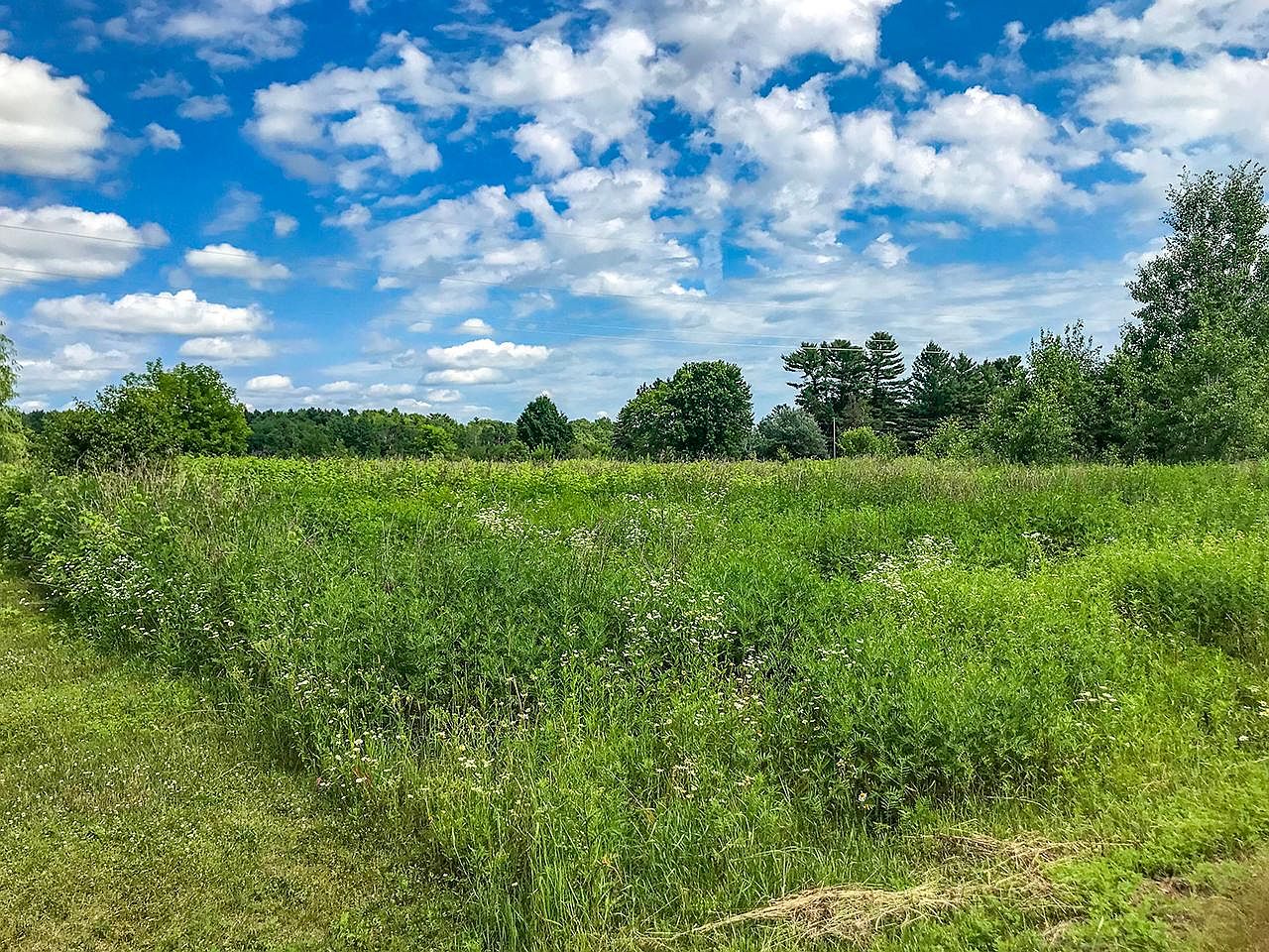 LOT 5 Wisconsin River Rd, Merrill, WI 54452 | Zillow