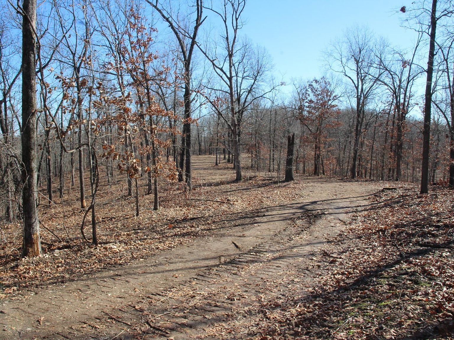 2 S Crimson Ln, Peel, AR 72668 | Zillow