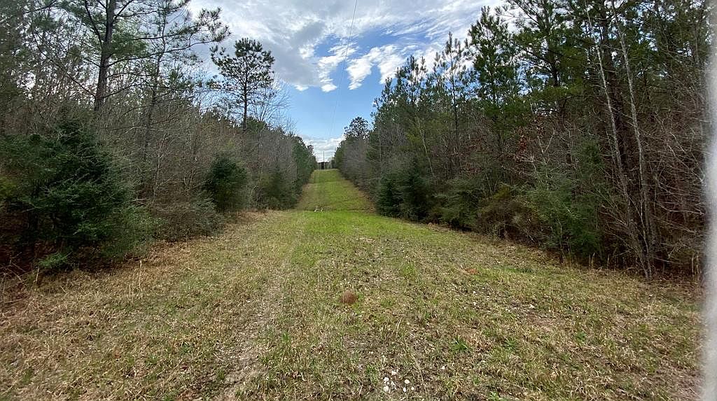 47 Mose Hilla Rd, Sontag, MS 39665 | Zillow