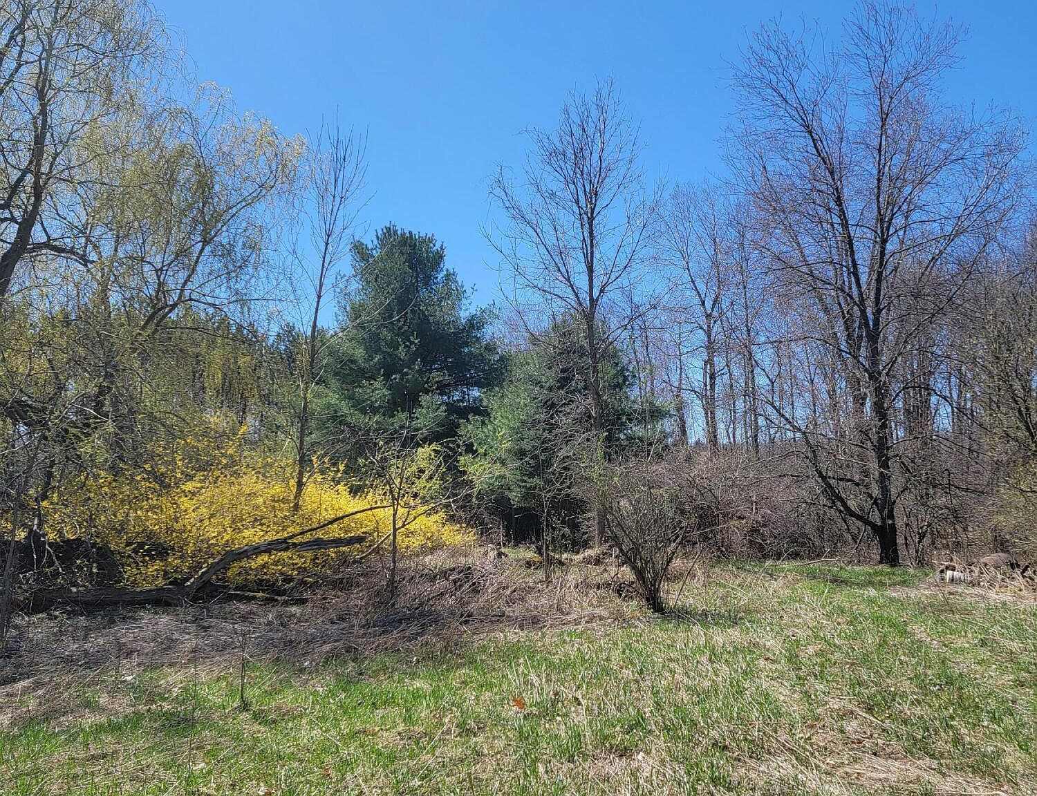 20A W Coe Rd, Riverdale, MI 48877 | Zillow