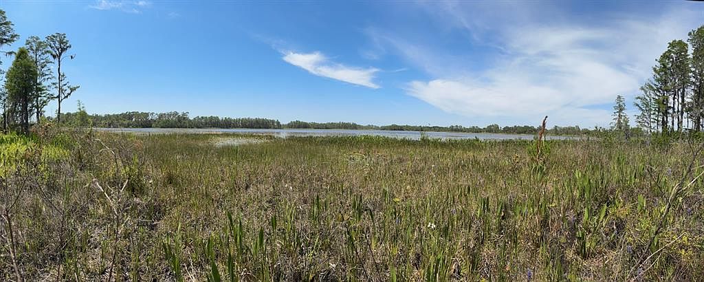 8335 Florida Boys Ranch Rd #1300, Groveland, FL 34736 | MLS #O6308597 ...